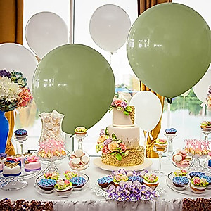 10 Pcs 18 Inches Sage Green Balloons Large Grass Green Balloons Huge Olive Green Balloon for Wedding Birthday Baby Shower Engagement Summer Eucalyptus Jungle Safari Party Decoration (Grass Green)