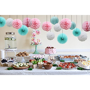 Teal Party Supplies for Bridal Baby Shower First Birthday Party Wedding Decorations (16pcs) Paper Honeycomb Ball Pom Poms Flowers Paper Lanterns Hanging Tissue Fan