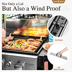 Sophia & William 2-Burner Gas BBQ Grill With Flat Top, Small Outdoor Propane Barbecue Grill with Side Shelves,Lid and Hose & Regulator for Camping, 20,000 BTU,Black