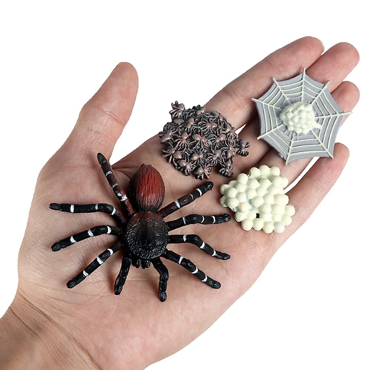 20 PCS Life Cycle Figurines of Butterfly Spider Bee Ladybug Dragonfly, Plastic Insect Bug Figures Toy Kit, Early Education Growth Stage Model Biology Science Toys School Project for Kids Toddlers