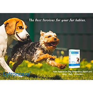 Dog Pregnancy Test at Home, 98% Accuracy, Painless to get Sample No Equipment Required Qucik Result at 5 Minutes Easy NO Mess
