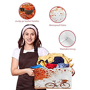 Large Capacity Storage Bins Hand Drawn Maple Tree Bicycle Pattern Storage Cubes, Collapsible Storage Baskets for Organizing for Bedroom Living Room Shelves Home 15x11x9.5 In