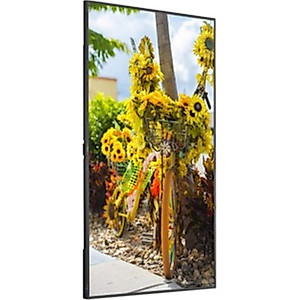 NEC 55In LCD 1920x1080 C551 HDMI DP (805736063684)
