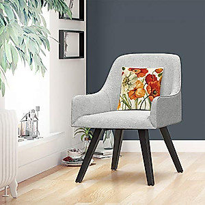 Trademark Fine Art Poppies Melody I by Lisa Audit, 16x16 Decorative Throw Pillow