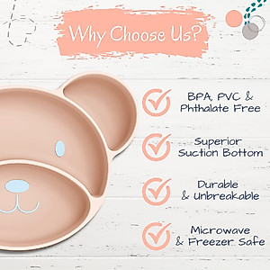 Suction Plates for Baby and Toddler Plates - Non Slip Baby Plates with Suction Silicone Plates for Baby and Kids for No More Meal Time Mess - Stay Put Divided Silicone Placemat - Mint