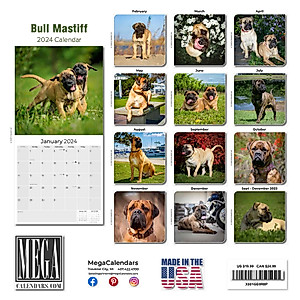 2023 2024 Bull Mastiff Calendar - Dog Breed Monthly Wall Calendar - 12 x 24 Open - Thick No-Bleed Paper - Giftable - Academic Teacher's Planner Calendar Organizing & Planning