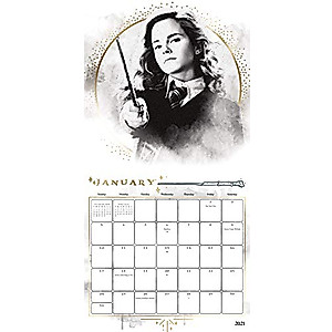 Harry Potter 2021 Calendar: Includes 2 Posters