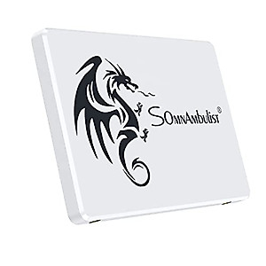 Somnambulist 2tb 120gb sata ssd Disk Built-in Hard Drive Suitable for Desktop Notebook Computers 960gb 240gb 60gb 480gb (White Dragon 60GB)