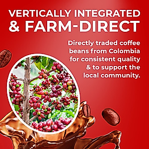 Colombia Medium Roast Coffee Tea Bags, Single Serve Coffee in Tea Bags for On-the-Go Brew, Cold Brew Bags Alternative to Instant Coffee Packets, Single Origin, Box of 10 - SOLID Coffee Roaster’s