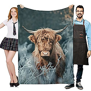 ASYOURWISH Ultra Soft Flannel Brown Cow Throw Blanket Highland Cattle Landscape Rustic Farmhouse All Season Warm Lightweight Cozy Plush Bed Blankets for Living Room/Bedroom 40 x 50 Inches