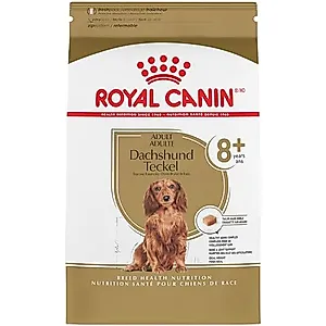 Royal Canin Breed Health Nutrition Dachshund Teckel 8+ Adult Dry Dog Food, 3 lb bag