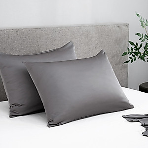 Dafinner 100% Mulberry Silk Pillowcases Standard Size, Grey Silk Pillow Cases Set of 2, Hair and Skin Friendly, Hidden Zipper, Gifts for Women Men, 2 Pack, 20x26 Inches