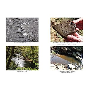 How to Read Water: Clues and Patterns from Puddles to the Sea (Natural Navigation)