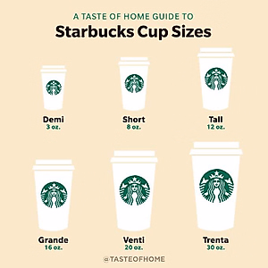 Traveler Icon Tumbler 12 oz.