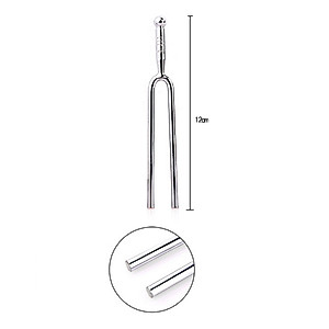 A Tuning Fork - "A" 440 Hz with Soft Shell Case