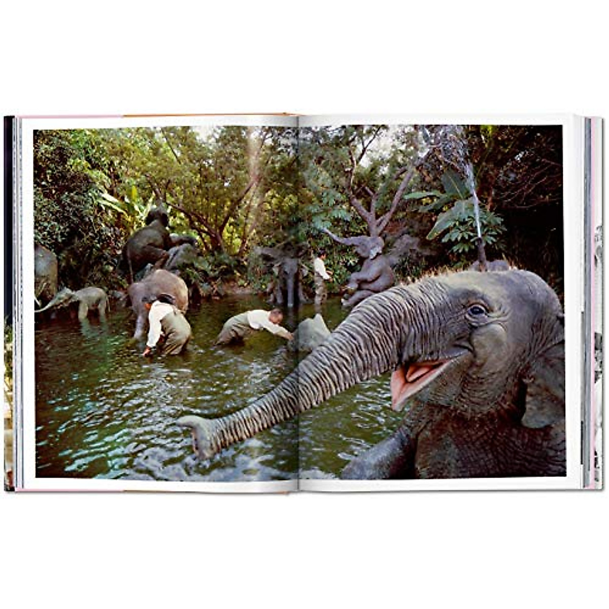 Walt Disney's Disneyland