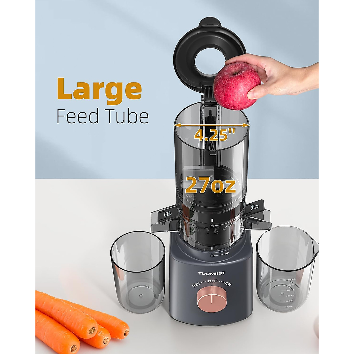 Juicer Machines, TUUMIIST Cold Press Juicer with 4.25'' Large Feed Chute Fit Whole Vegetable And Fruit, Masticating Juicer Easy To Clean, Gun Grey