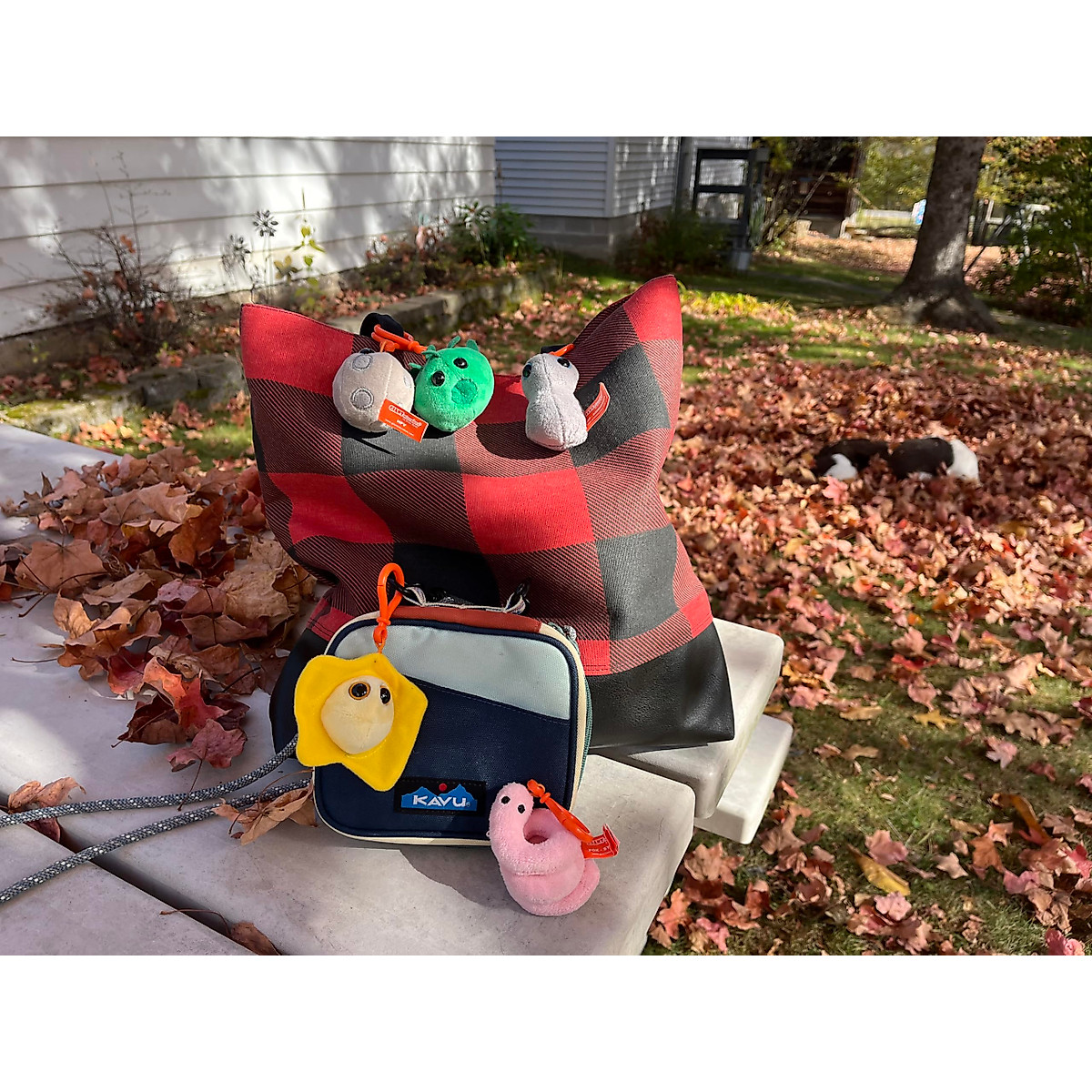 GIANTmicrobes Tainted Love Themed Gift Box - Learn About Health with This 5-Piece Box Set of 3” STIs, Unique Gift for Students, Educators, OBGYNs, and Anyone with a Healthy Sense of Humor