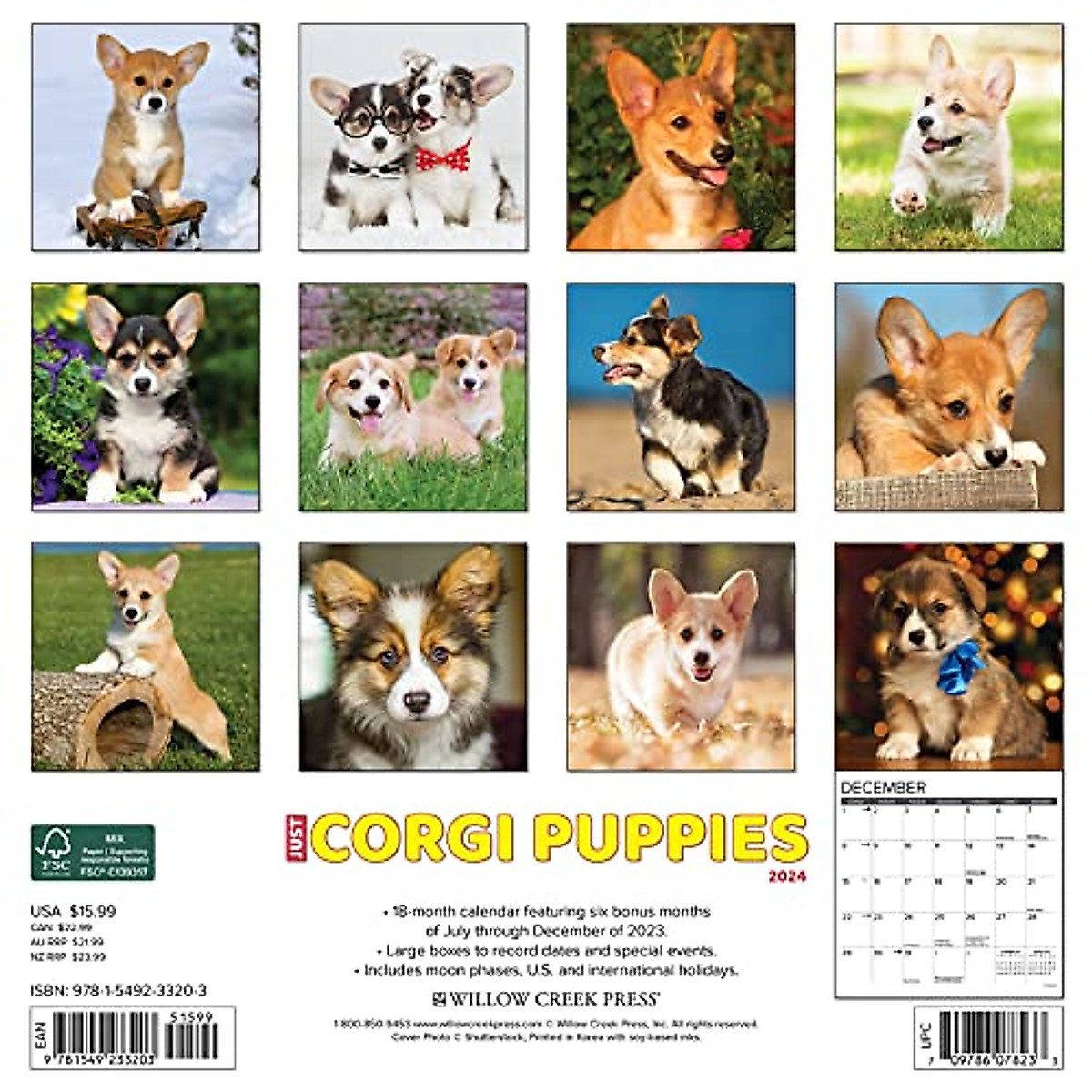 Willow Creek Press Corgi Puppies Monthly 2024 Wall Calendar (12" x 12")