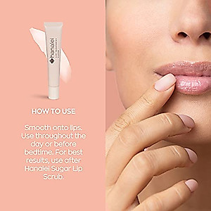 Hanalei - Cruelty-Free Treatment for Chapped Lips - Extreme Dry Lip Moisturizer - Overnight Lip Balm for Cracked Lips - Made with Kukui Oil, Shea Butter, Grapeseed Oil - Clear Formula -Full Size(15g)