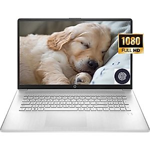 HP 17.3'' FHD IPS Display Business Laptop, AMD Ryzen 5 5500U Processor, Windows 10 Pro, 16GB RAM, 512GB SSD, Wi-Fi, Bluetooth, Webcam, Fingerprint Reader, Natural Silver