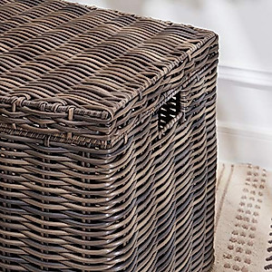 VIFAH Valeria Rectangular Resin Lidded Laundry Hamper with Handles