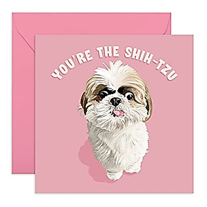 Central 23 - Cute Animal Birthday Card - “You’re The Shih-Tzu”- For Men & Women - Mom Dad Husband Wife Brother Sister Cute Cards - Comes with Fun Stickers