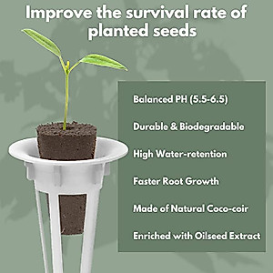 Assorted Fruit & Vegetables Mix Pod Kit for Aerogarden Hydroponics Growing System, Pod kit with Growing Guide,Contains Grow Sponge A&B Food (7 Pods）