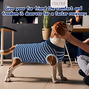 Rypet 2 Packs Dog Recovery Suit Abdominal Wound Surgical Clothes for Male Female Pet Surgical Snugly Suit After Surgery Anti-Licking Dog Onesies