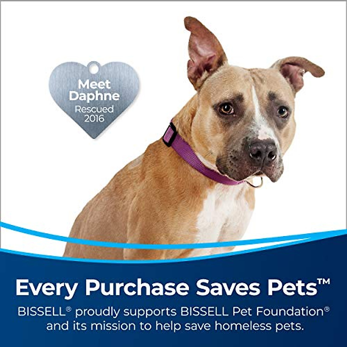 Bissell ICONpet Edge Cordless Vacuum, Blue/Black