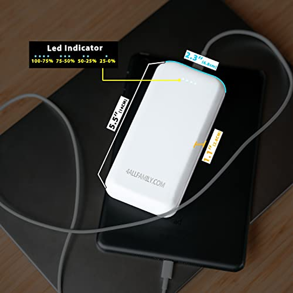 4ALLFAMILY 20000mah Portable POWERBANK | Engineered Specifically to fit USB Version Coolers Voyager and Explorer Medicine Cooler Travel Case | Compatible with Most Other Gadgets
