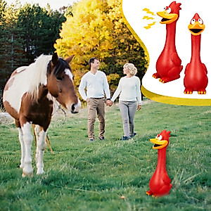 Hungdao 1 Pcs Horse Toys Latex Squeaky Squeeze Chicken Squeak Turkey Balls for Play Fake Screaming Chicken Toys for Horses Soccer Ball for Reduce Separation Anxiety Noise Maker (Red)