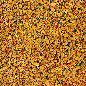 The Bulk-Priced Food Shoppe Peanut Brittle Crunch Coat Ice Cream Topping (1 lb. Resealable Zip Lock Stand Up Bag), Kosher