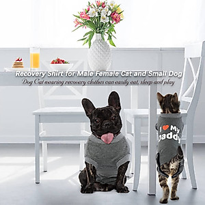 DENTRUN Cat Surgery Anti-Licking Spay Recovery Suit, Cat Small Dog Cone E-Collar Alternative Recovery Shirt After Surgery for Male Female Abdominal Wounds Bandages, Pet Surgical Recovery Snuggly Suit