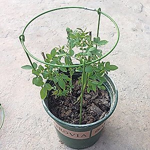 rescozy (Pack of 3) Large Garden Plant Support Rings, 10" Wide x 17" High, 3 Legs