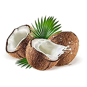 Tropicana Extra Virgin Coconut Oil Toothpaste (NO FLUORIDE) for good oral health, teeth and gums. no bad breath fresh breath (Natural organic product with a light, soothing scent) 100g.