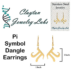 Pi Symbol Stainless Steel Dangle Earrings (Black)