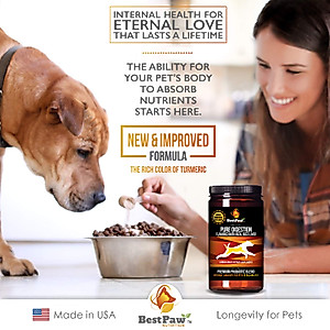 Best Paw Nutrition Dog & Cat Premium Probiotic Prebiotic & Digestive Enzymes 5 Billion CFU Organic Turmeric Coconut Oil Pure Pumpkin & Kelp for Healthy Bowels Gut & UTIs