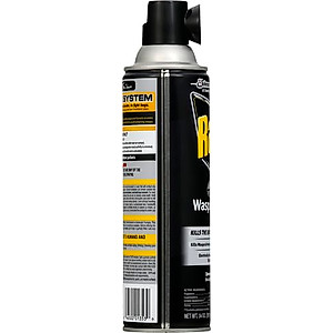 Raid Wasp and Hornet Killer Spray, Kills the entire nest, Kills Paper Wasps, Yellow Jackets, Mud Daubers and more, 14 oz