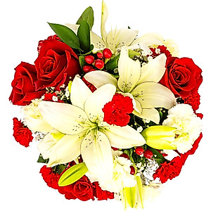 Modern Love | Red, White, Fresh Flower Arrangement with Vase | Arabella Bouquets | Flowers for Delivery, Christmas, Birthday, Congratulations | Premium Hydrated Shipping