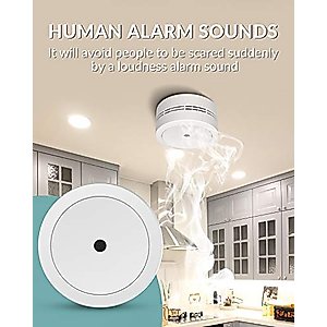 Ecoey Small Smoke Detector Alarm, 10 Year Fire Alarms Smoke Detectors with Built-in 3V Battery, Smoke Alarm with Big Test Button and Silence Function for House, FJ135, 2PACK