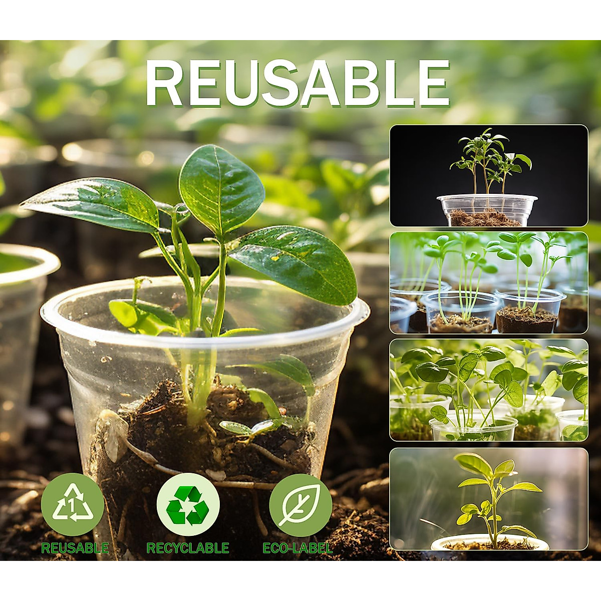 WandaQueen 30 Packs Clear Nursery Pots for Plants, 3.5/4/5 Inch Plant Pot for Planting Plastic Seedling Pots with Drainage Holes Seed Starter Pot High Transparency with 20 Plant Labels. (Transparent)