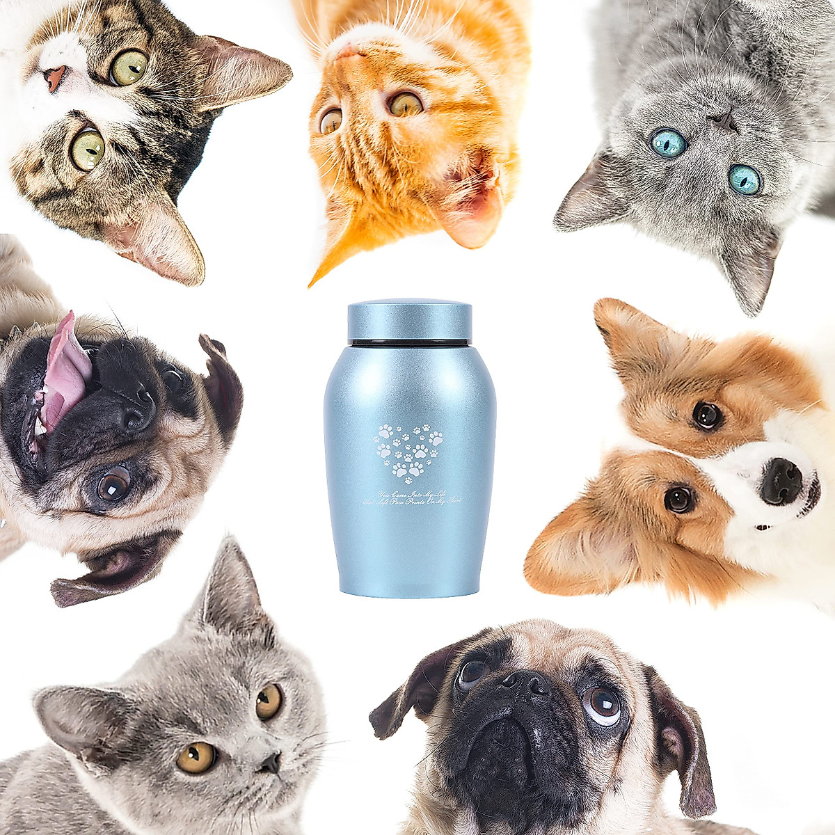 Stainlee Steel Pet Urns,Premium Urns for Dog and Cat Ashes,Paws Engraved Dog Urn for Ashes,Cat Creamtion Urn for Ashes,Pet Urn for Large Dog