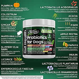 Gut Health Probiotics for Dogs with Pumpkin, Colostrum, Digestive Enzymes, Ginger, Slippery Elm, Licorice, Inulin Fiber & More | Beef Flavor Soft Chews Digestion Dog Supplement by Clean Pets