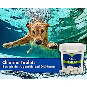 Rx Clear 1-Inch Stabilized Chlorine Tablets | Use As Bactericide, Algaecide, and Disinfectant in Swimming Pools and Spas | Slow Dissolving and UV Protected | 8 Lbs