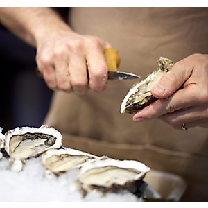 SEJONG COOK Oyster Shucking Knife, Commercial Grade Clam and Shellfish tool With Ergonomic Grip And Wood Handle, Good For Home Restaurant Kitchen And Outdoor (2.5T Stainless Steel)