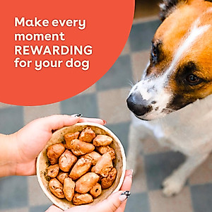 Pupford Freeze Dried Chicken Hearts Treat for Dogs & Puppies - Healthy, Natural, Single Ingredient Dog Treats - Made in USA (4.25 oz)