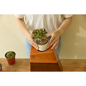 AspenStudio Plant Urn with Ceramic Pot with Magnetic Joint Solid Wooden Urn for Adult Human Ash Cremation Funeral Handcrafted Wood Urn Decorative Urn Large Urn Interior