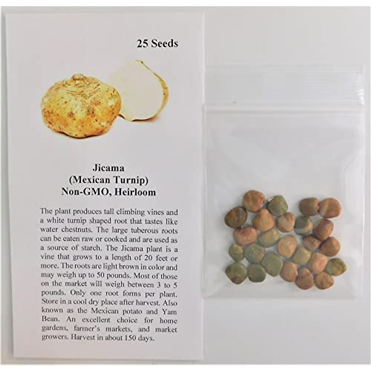 David's Garden Seeds Jicama 4356 (Brown) 25 Non-GMO, Heirloom Seeds