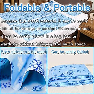 Iproods Cooling Sleeping Mat Set with 1 Pillow Cushion, Cooling Mattress Pad for Summer Hot Sleepers, Also Suitable for Camping Mattress and Sofa Cooling Seat Cushions (19.69 * 59.06 inches)